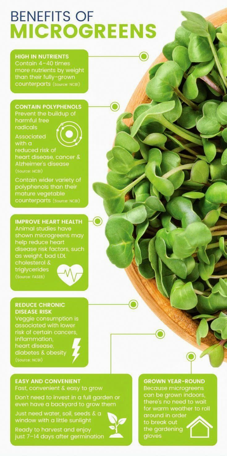 Growing Microgreens| Life Positive