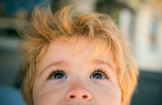 The Incarnating Soul