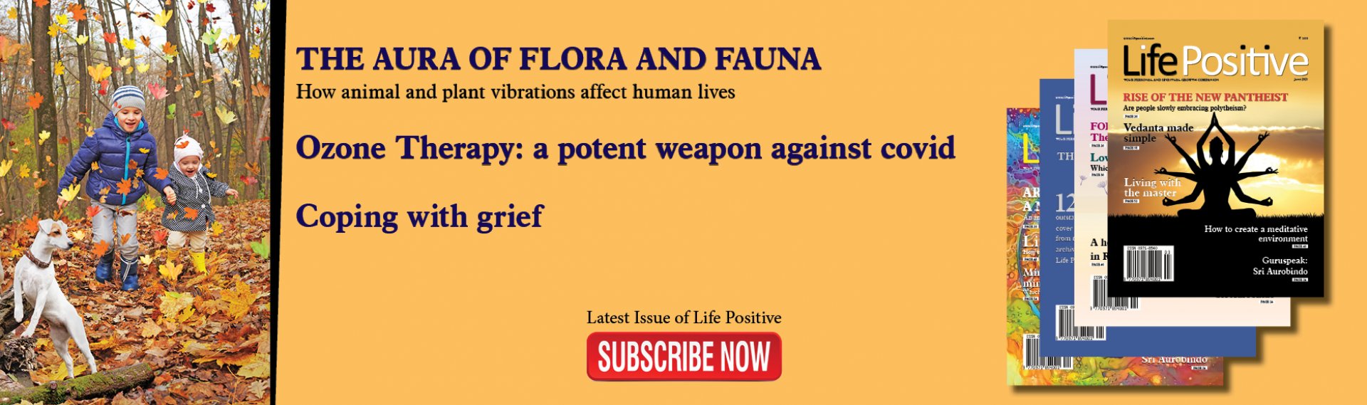 Alternative Therapies | Motivational Magazines | Life Positive